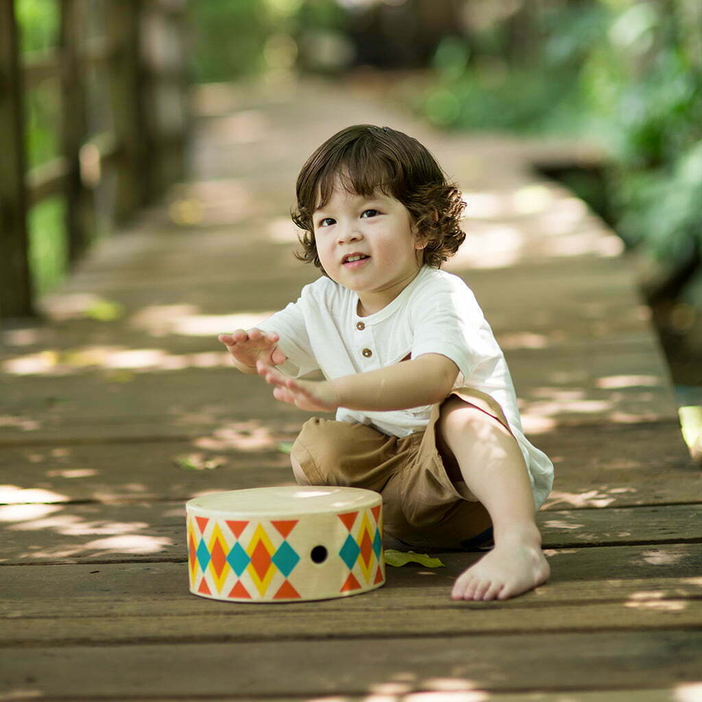 Plan Toys Rhythm Box | Hayllo